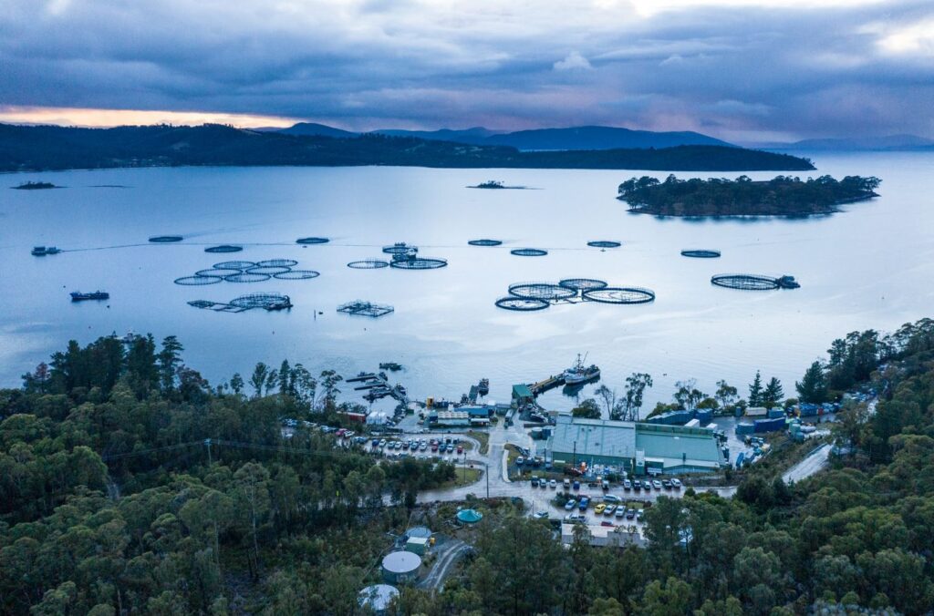 Tassal environment - Tassal FoodService