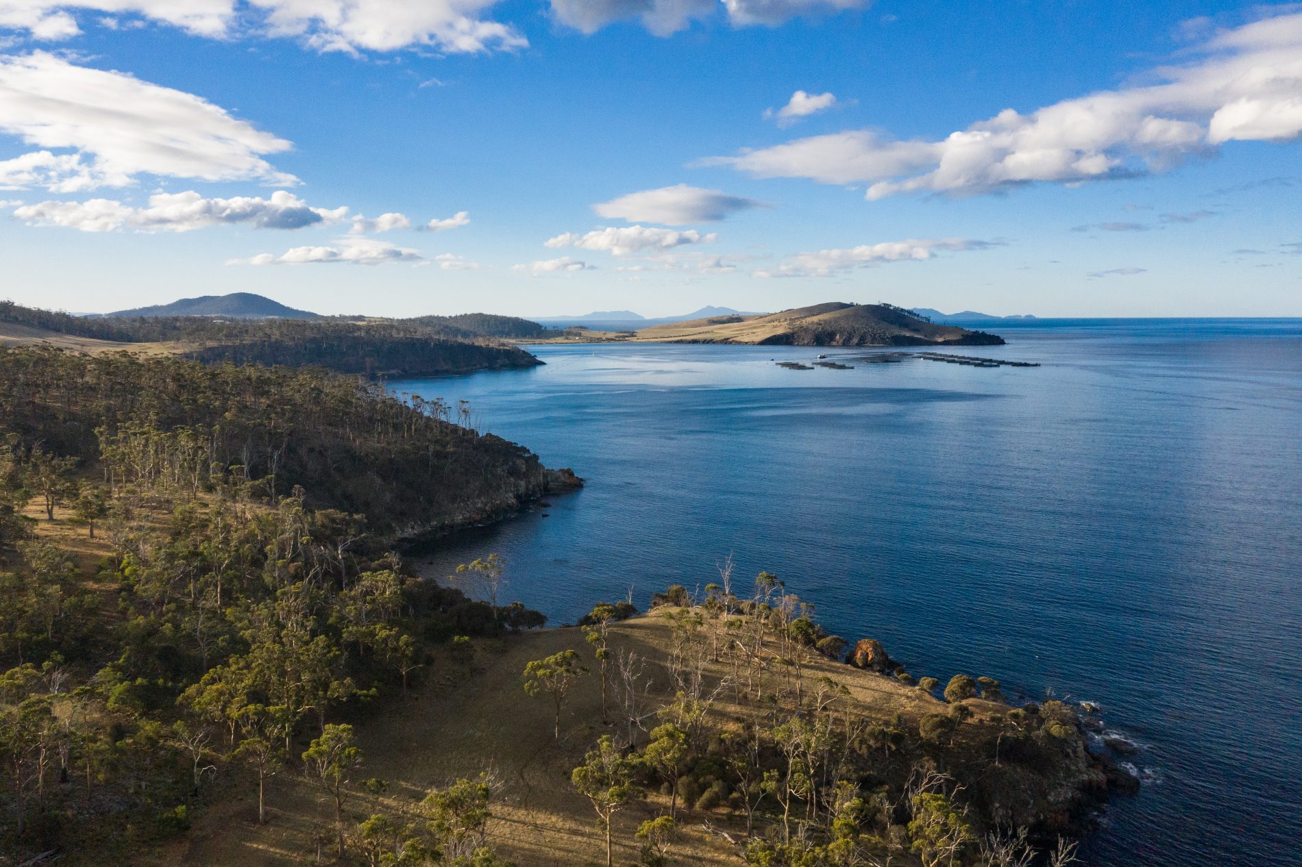 How We Care - Tassal Tasmanian Atlantic Salmon