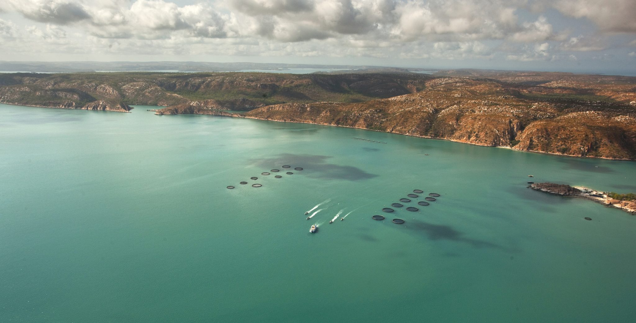 How We Care - Tassal Barramundi from Cone Bay