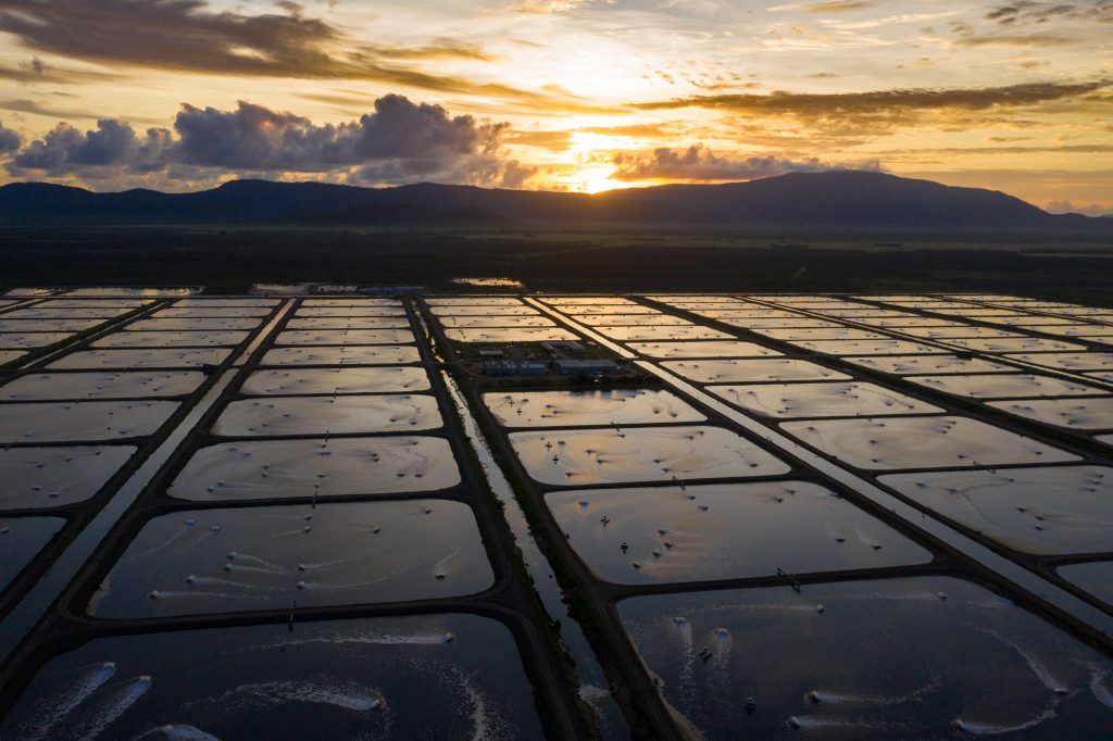 Proserpine - Tassal FoodService